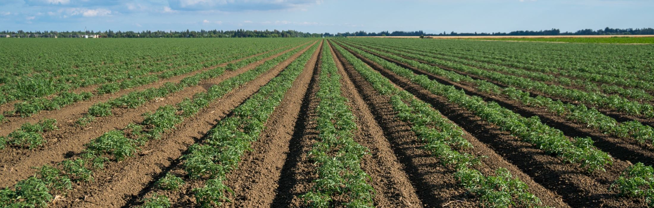 Hanford, CA | Official Website